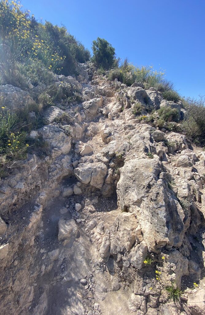 Alicante, Serra Grossa – Walk – Alicante